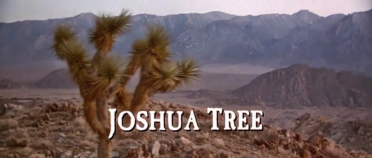 Filmes segregados: Fuga Mortal (Joshua Tree 1993)